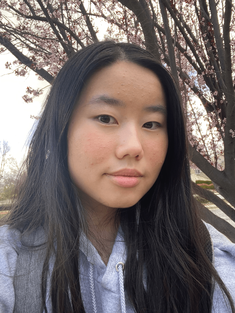 Lost in Translation by Sophia Zhang - Viewless Wings